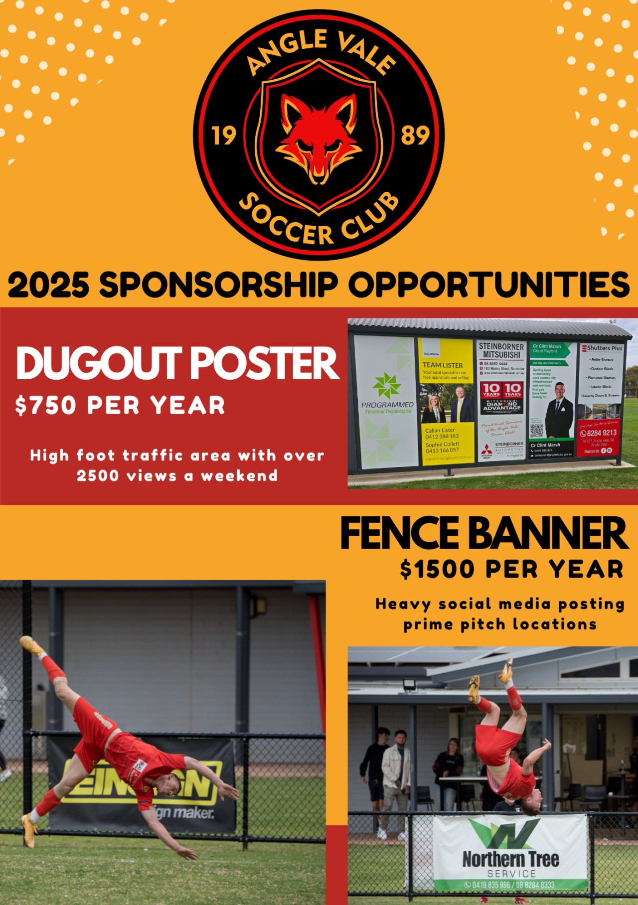 Club Sponsorship - Angle Vale Soccer Club